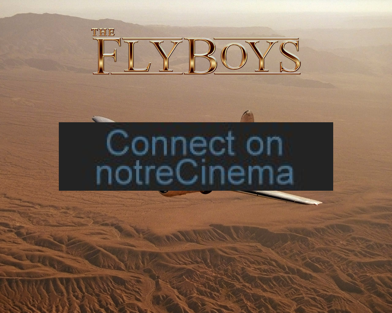 The Flyboys